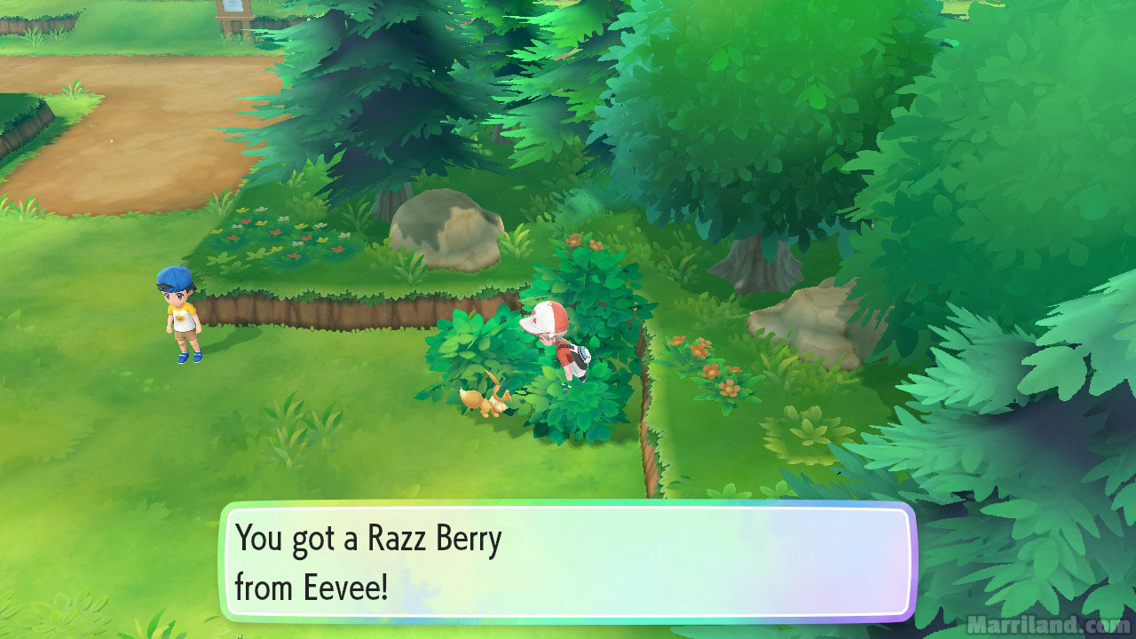 Route 1 • Pokémon Let's Go Pikachu & Eevee Walkthrough • Marriland.com