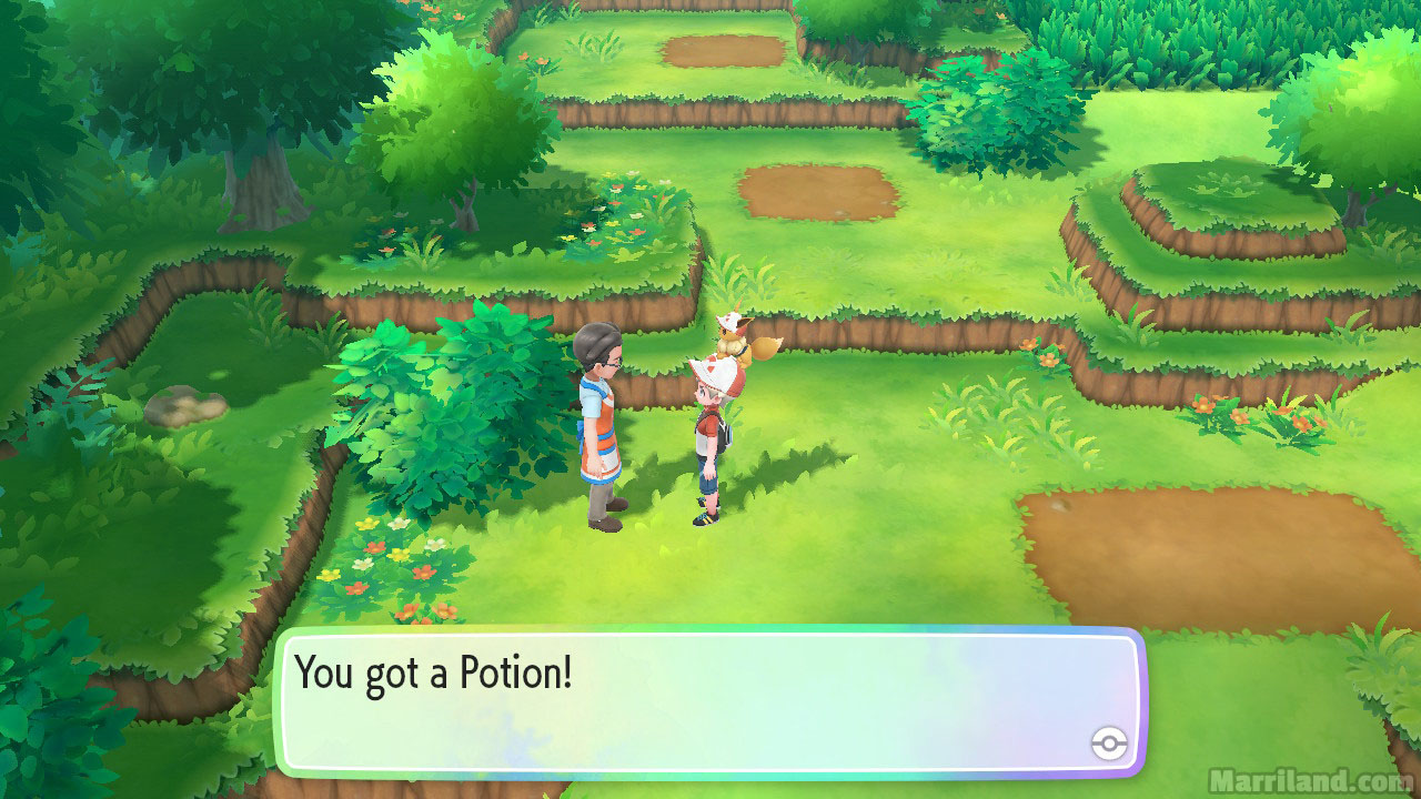 Route 1 (2nd Visit) • Pokémon Let's Go Pikachu & Eevee Walkthrough ...