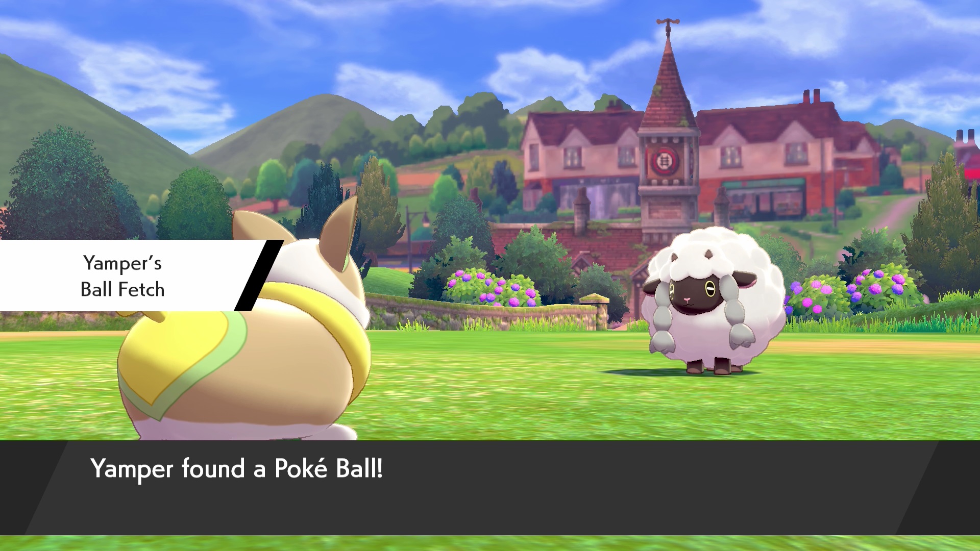 Yamper • Pokémon Sword And Shield •