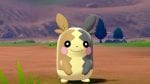Morpeko • Pokémon Sword & Shield • Marriland.com