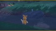 Where to EV Train HP in Pokémon Scarlet & Violet • Marriland.com