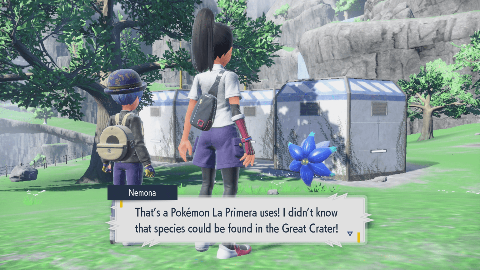 Area Zero (Surface) • Scarlet & Violet Walkthrough • Marriland.com